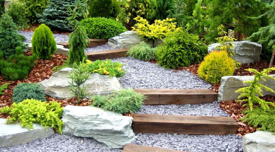 Rethinking Your Weekend Yard Routine: Top Tips